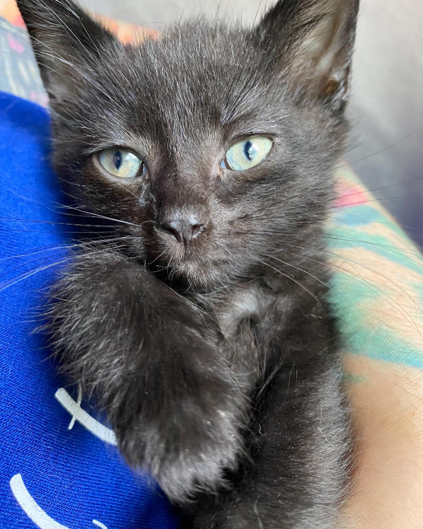 Home - Love for Misfit Meeps