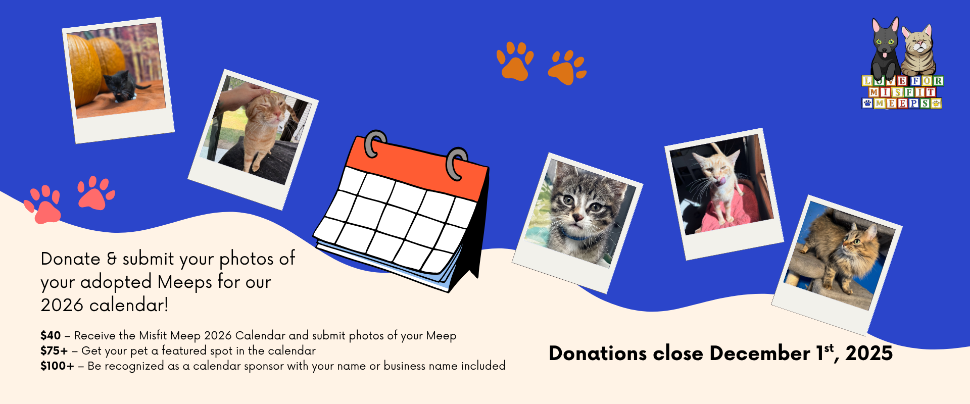 Calendar Campaign - Love for Misfit Meeps